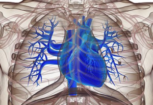 The Functions of the Pericardium - Acupuncture Is My Life