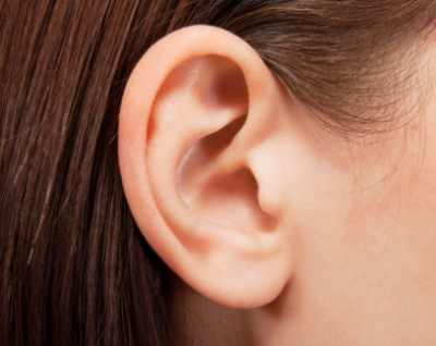 The Functions of the Kidneys - Acupuncture Is My Life