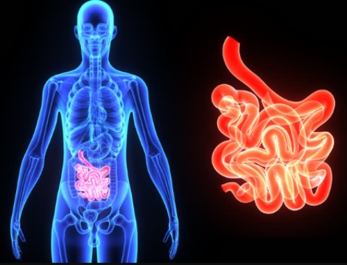 The Functions of the Bladder - Acupuncture Is My Life