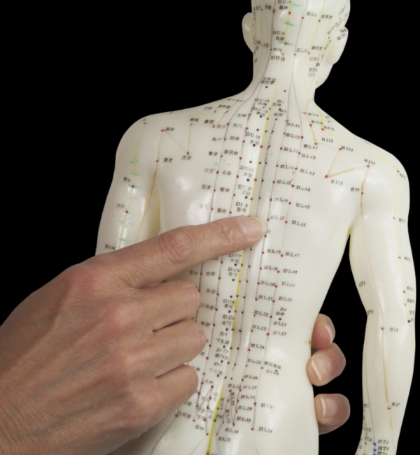 The Chong Mai Vessel - Acupuncture Is My Life