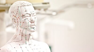 The 12 Meridians of the Body Explained - Acupuncture Is My Life