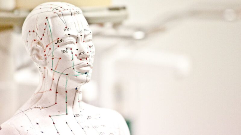 The 12 Meridians of the Body Explained - Acupuncture Is My Life