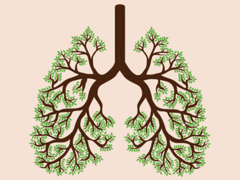 Managing Asthma with 6 Acupressure Points - Acupuncture Is My Life